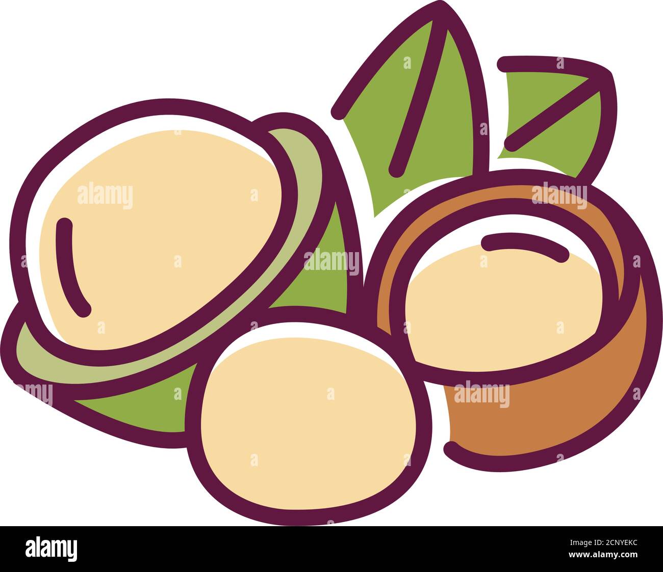 Macadamia color line icon. Nuts in the shell and with leaves. Pictogram ...
