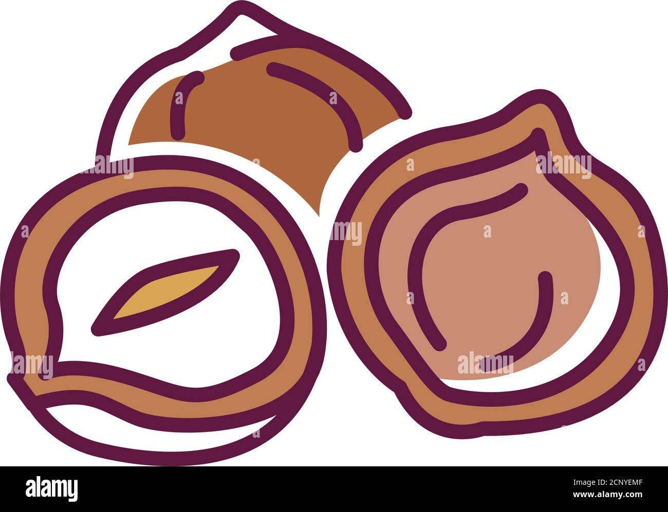Nazel nut color line icon. Nuts in the shell. Pictogram for web page ...