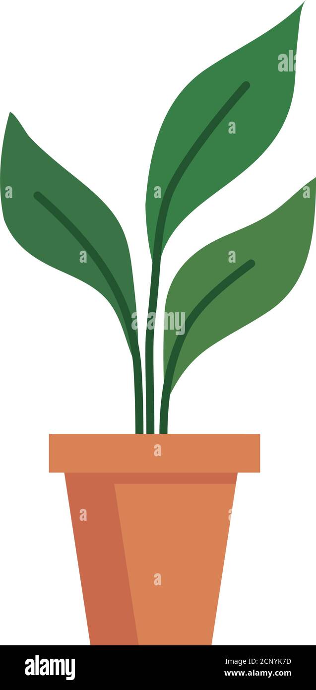 plant inside pot vector design Stock Vector Image & Art - Alamy