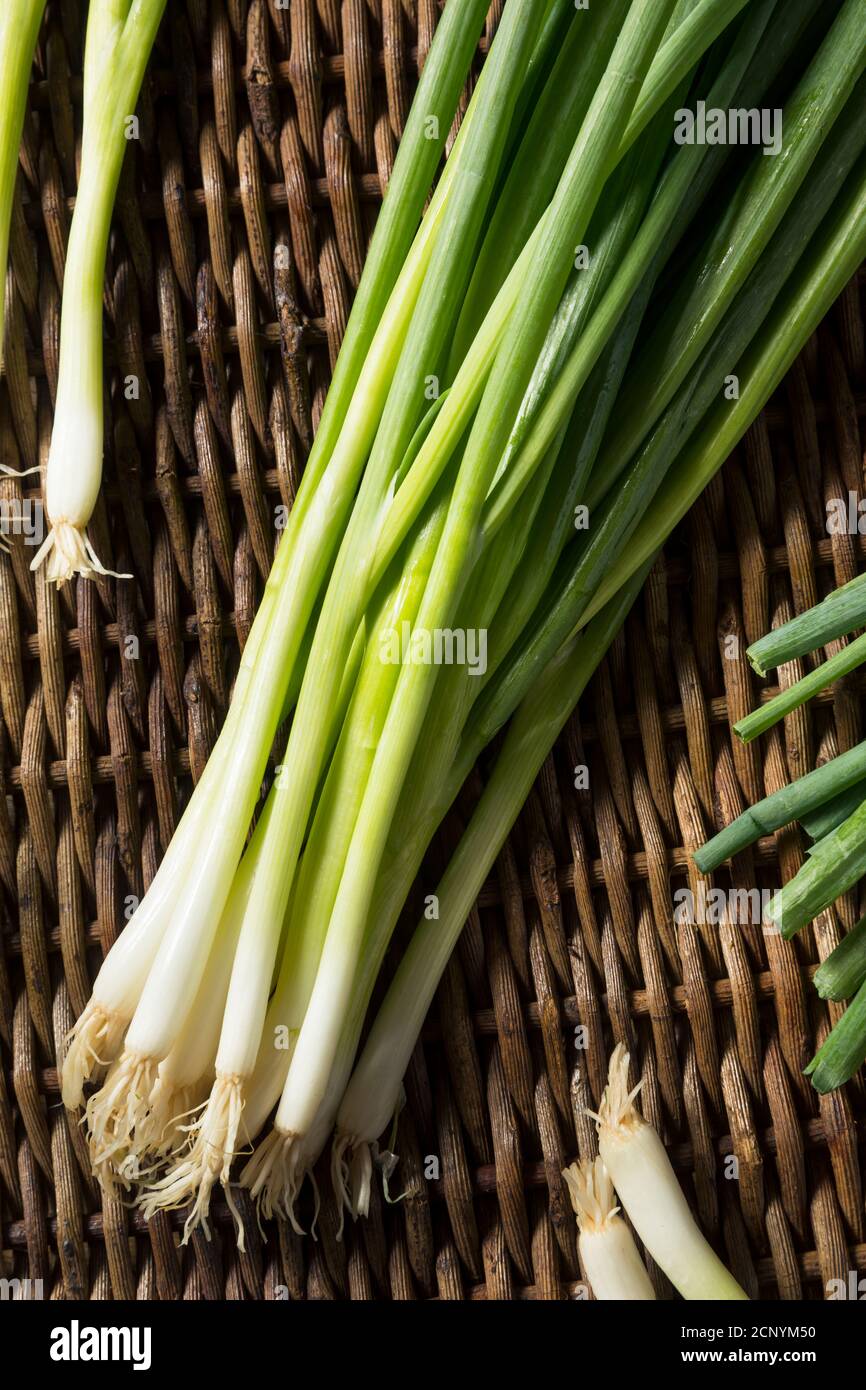Raw Organic Green Onions Ready to Chop Stock Photo - Alamy