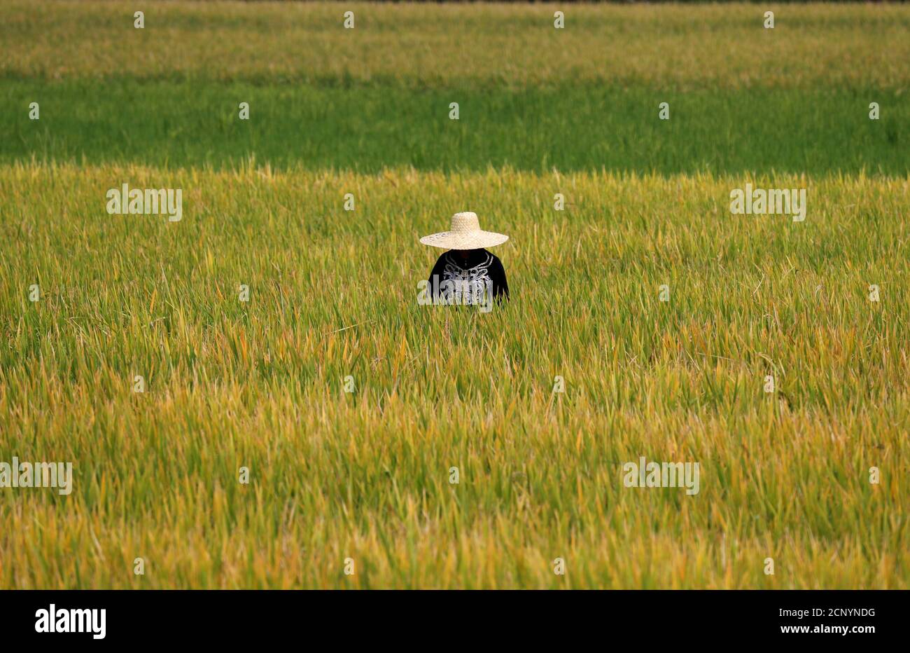 Landscape in oriental mindoro philippines hi-res stock photography and ...