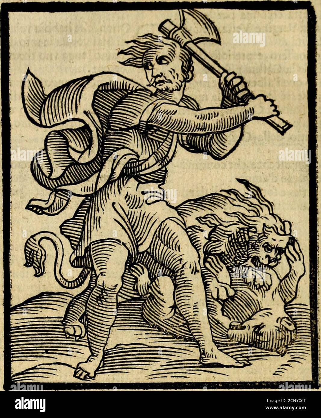 Dominio de la carne hi-res stock photography and images - Alamy