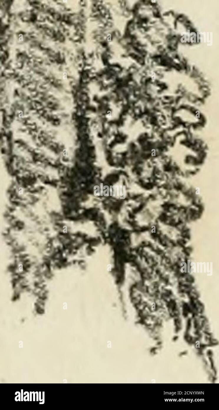 Jet jaune hi-res stock photography and images - Alamy