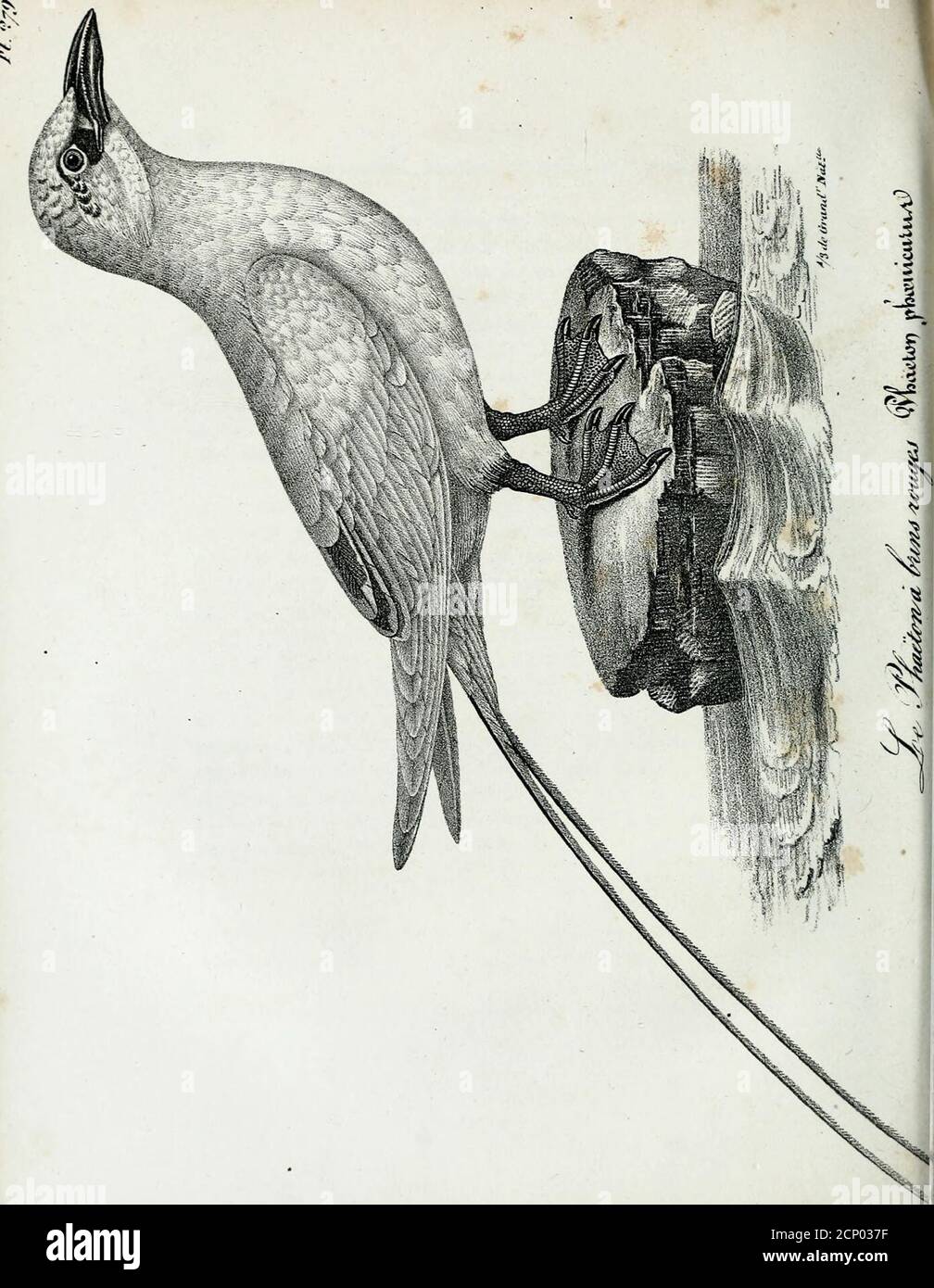 Vergues hi-res stock photography and images - Alamy