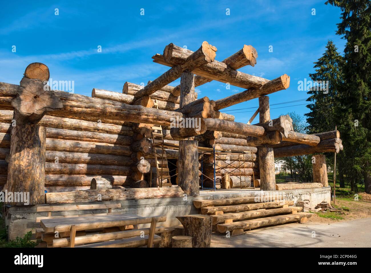 Construction of a wooden house from huge trees Stock Photo - Alamy