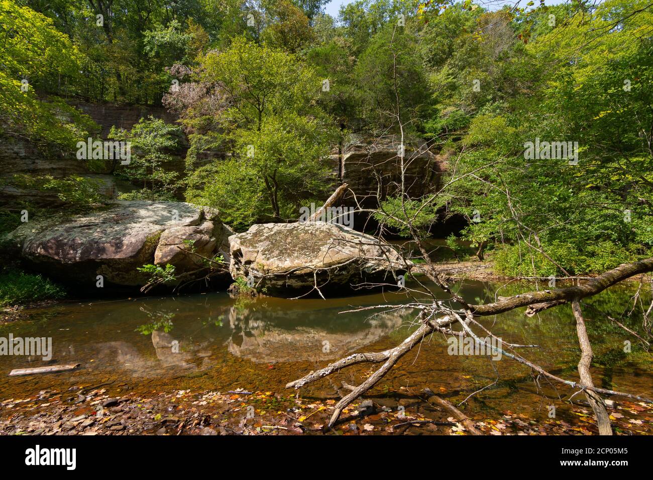 Landscape along the hiking trail at Bell Smith Springs. Shawnee ...