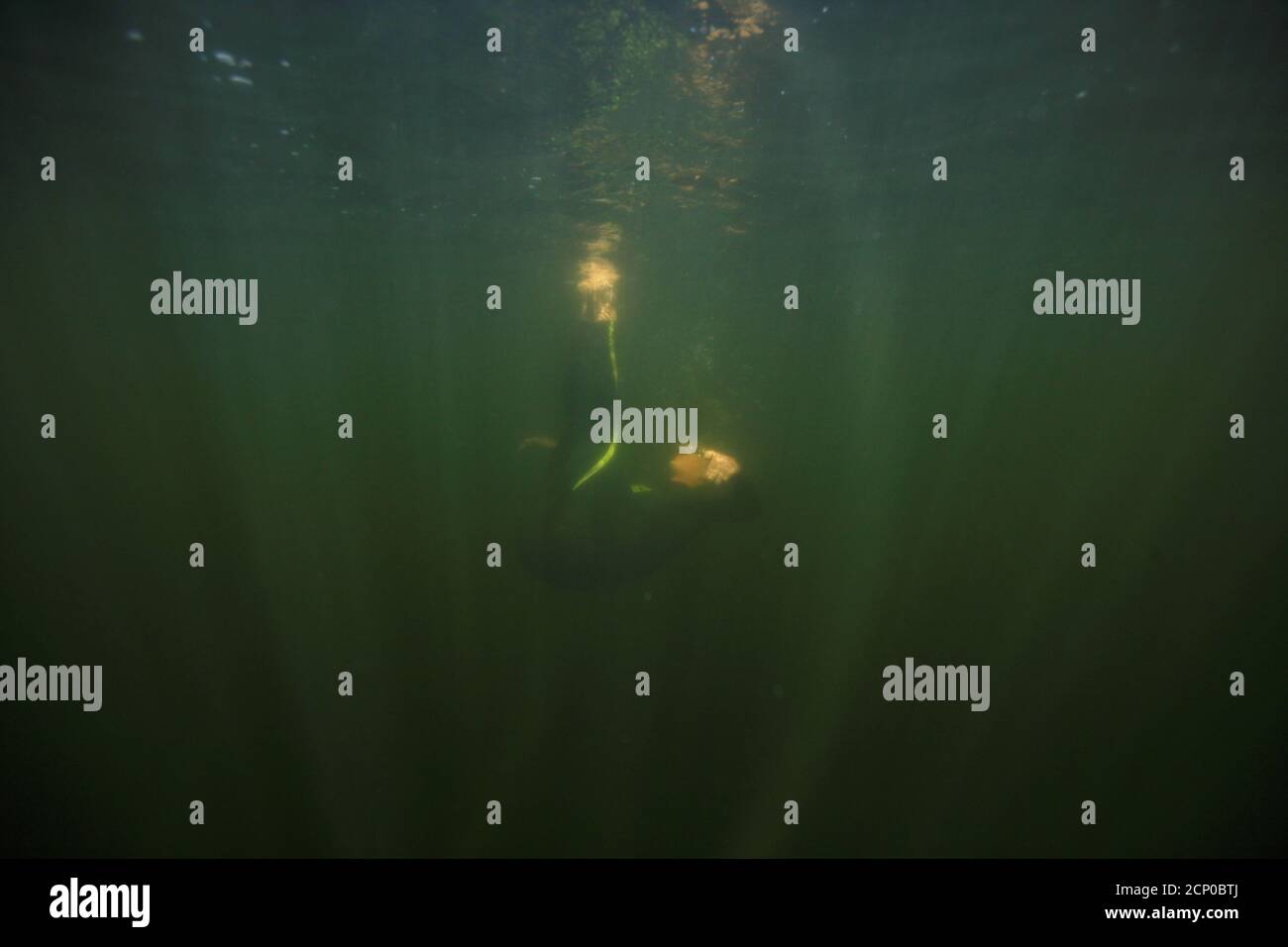 Olympic 2020 swimmer hi-res stock photography and images - Alamy