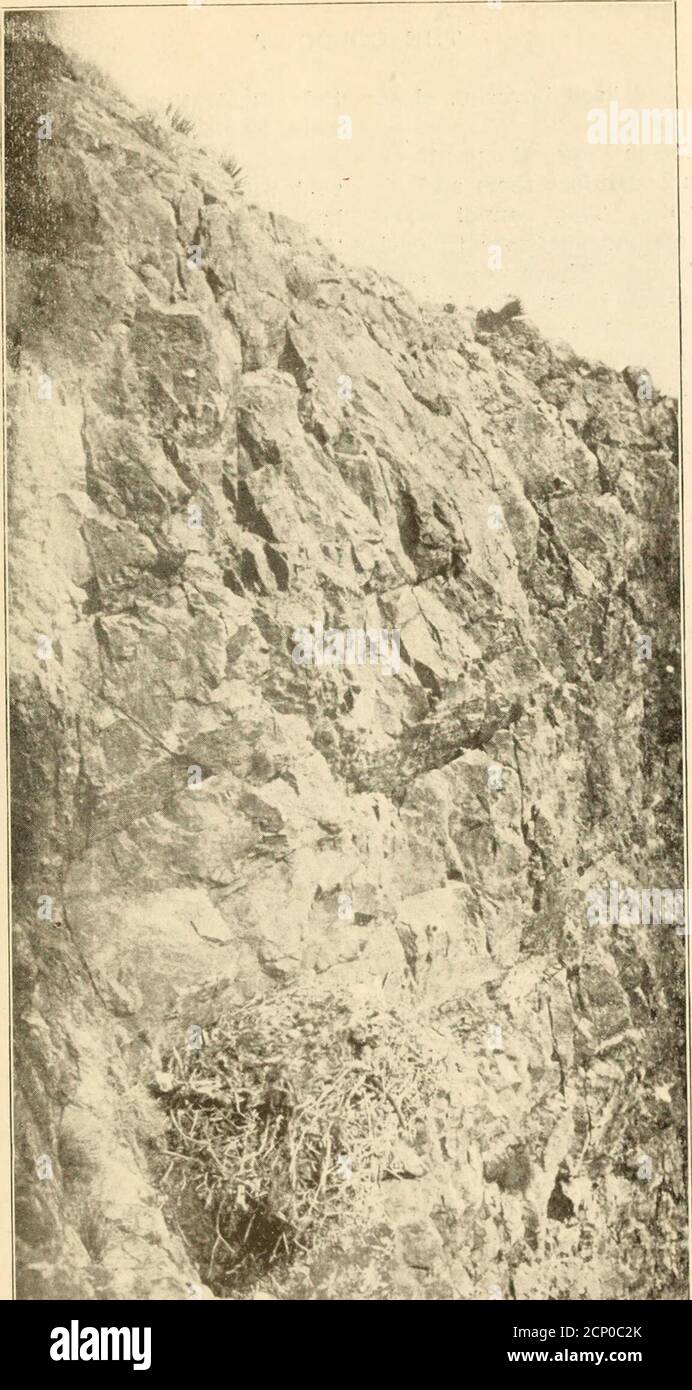 Pines express train hi-res stock photography and images - Alamy