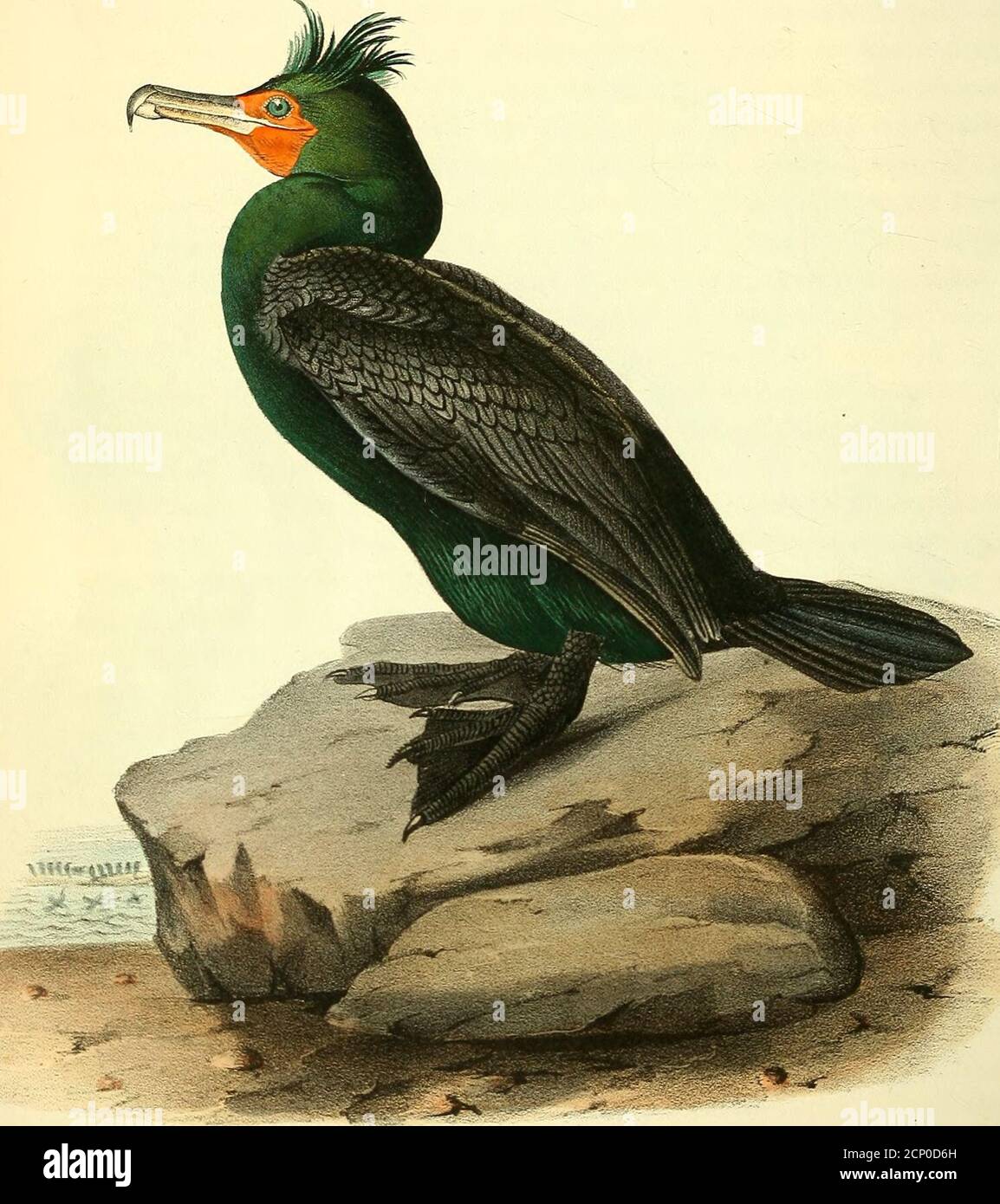 Marginal drawings hi-res stock photography and images - Alamy