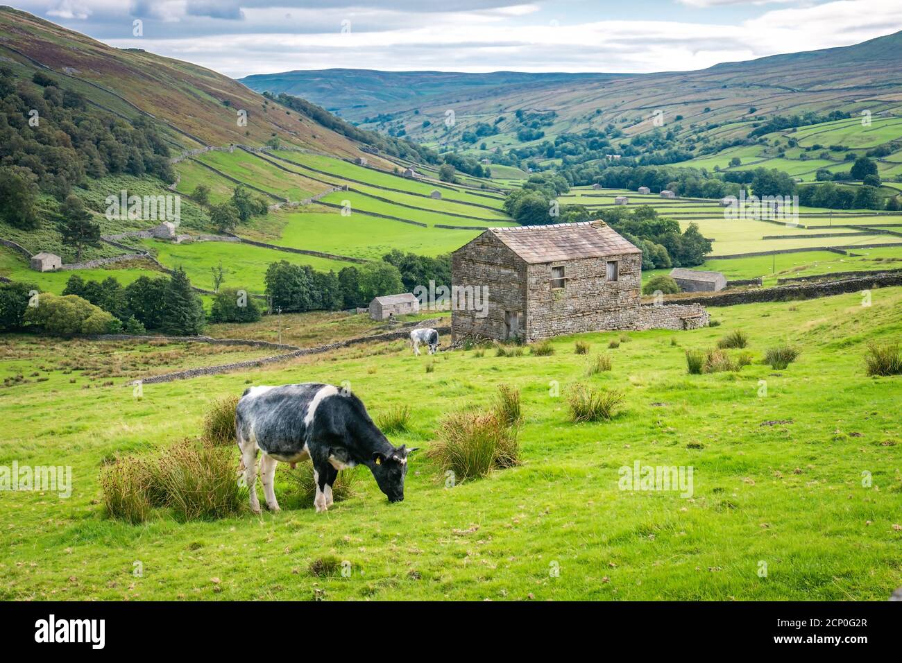 Typical landscape of Yorkshire Dales Stock Photo - Alamy