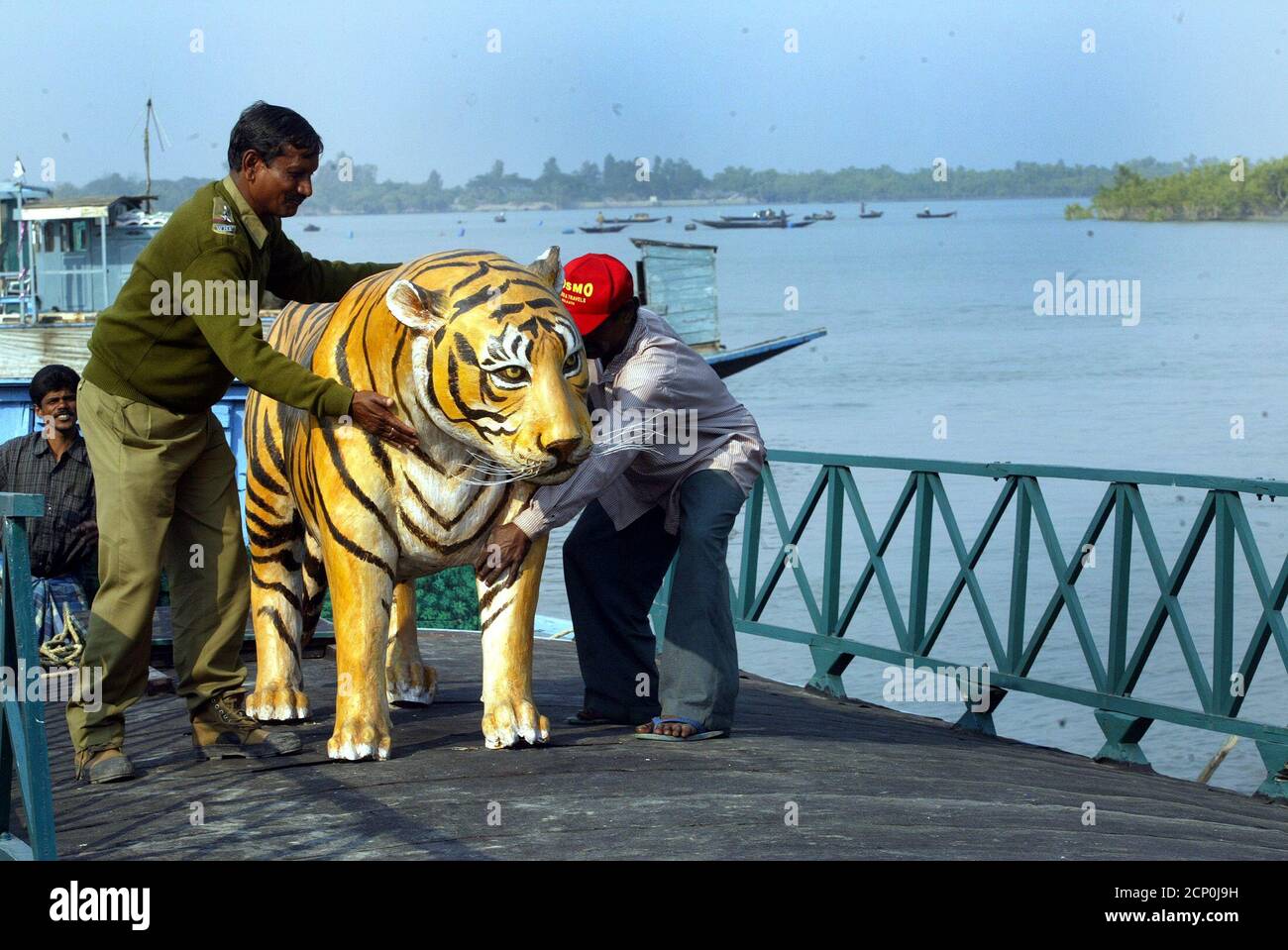 Home of royal bengal tigers High Resolution Stock Photography and ...