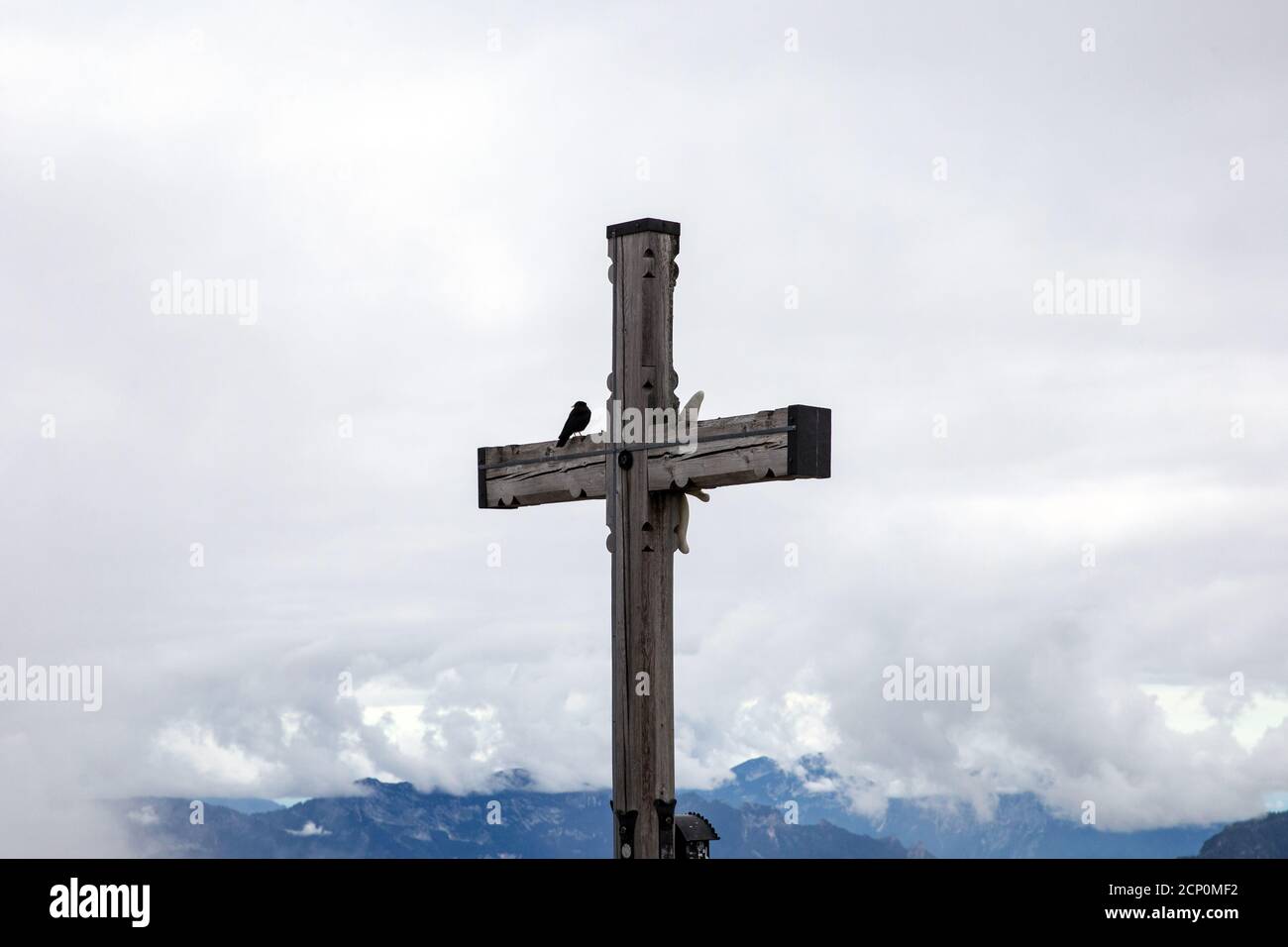 Germany bavarian alps edelweiss flower hi-res stock photography and ...