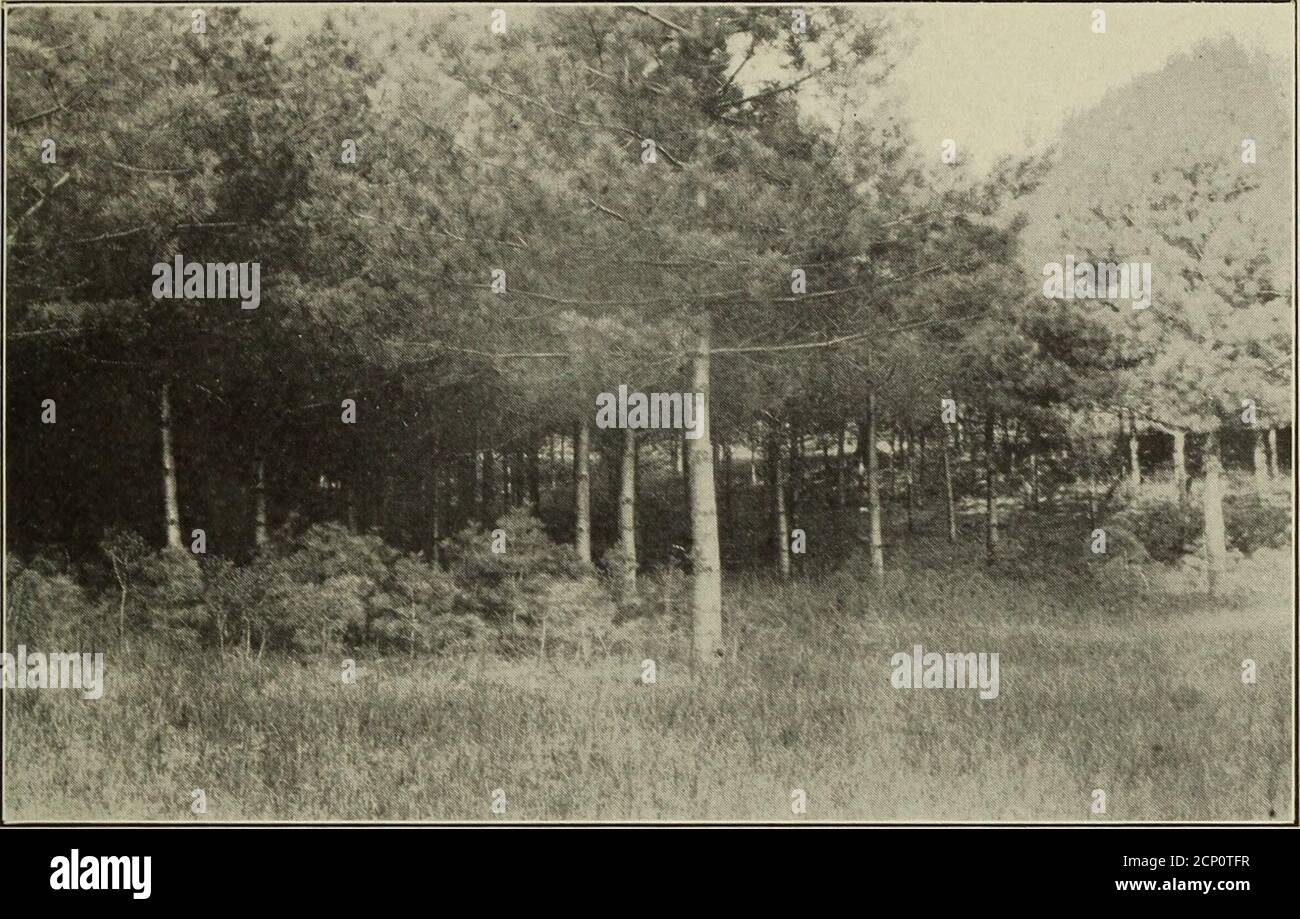 Graphite mines hi-res stock photography and images - Alamy