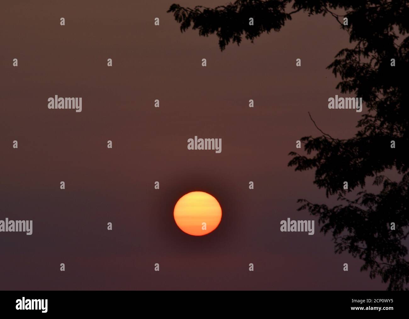 Smoke filled space hi-res stock photography and images - Alamy