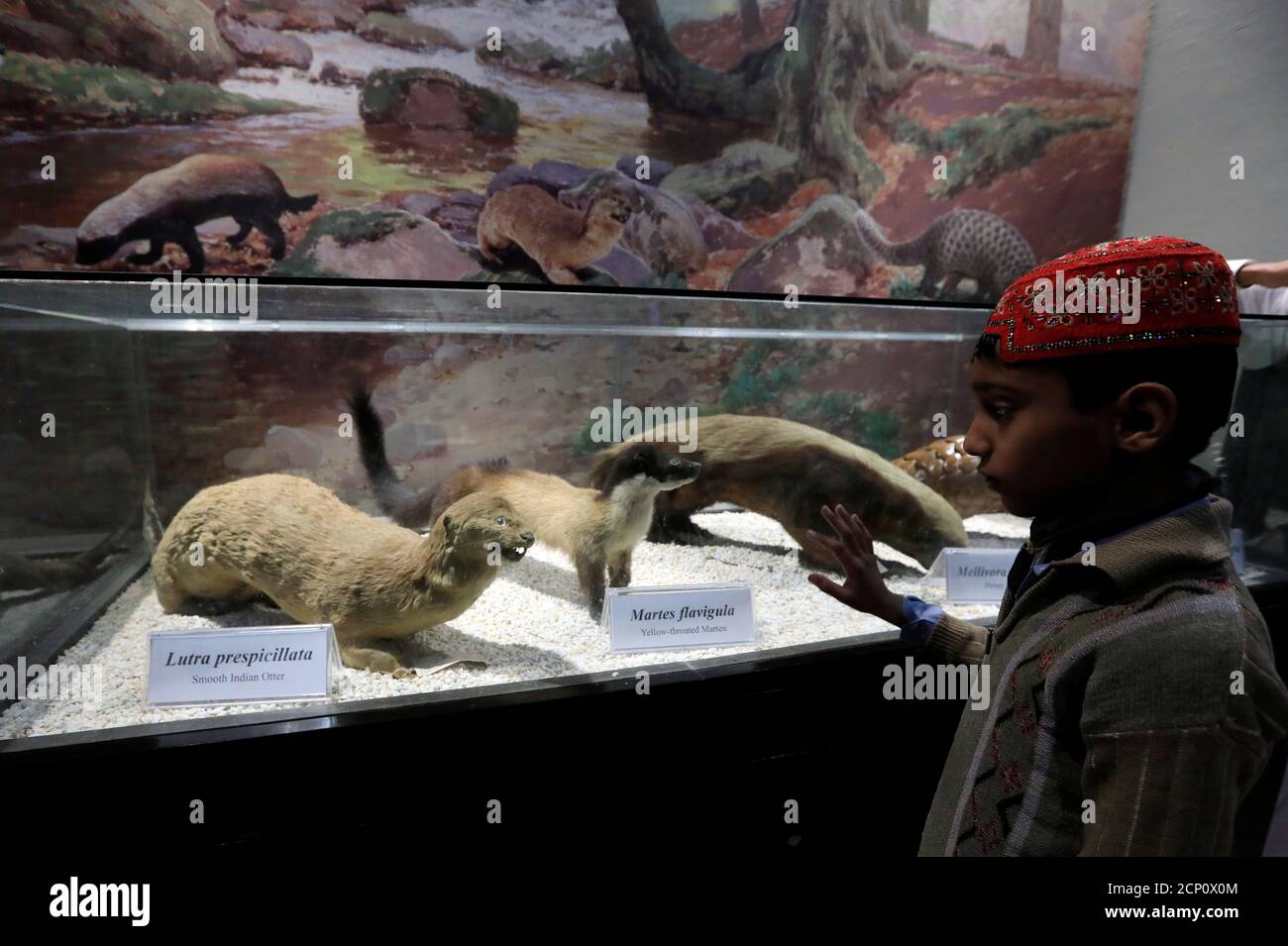 Islamabad museum hi-res stock photography and images - Alamy