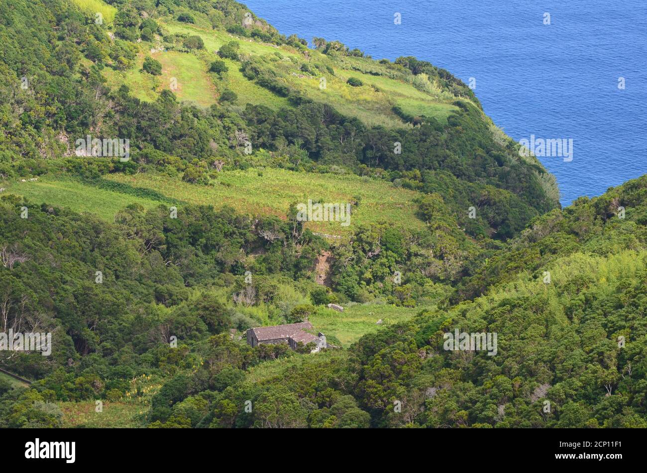 Azores evergreen forest hi-res stock photography and images - Alamy