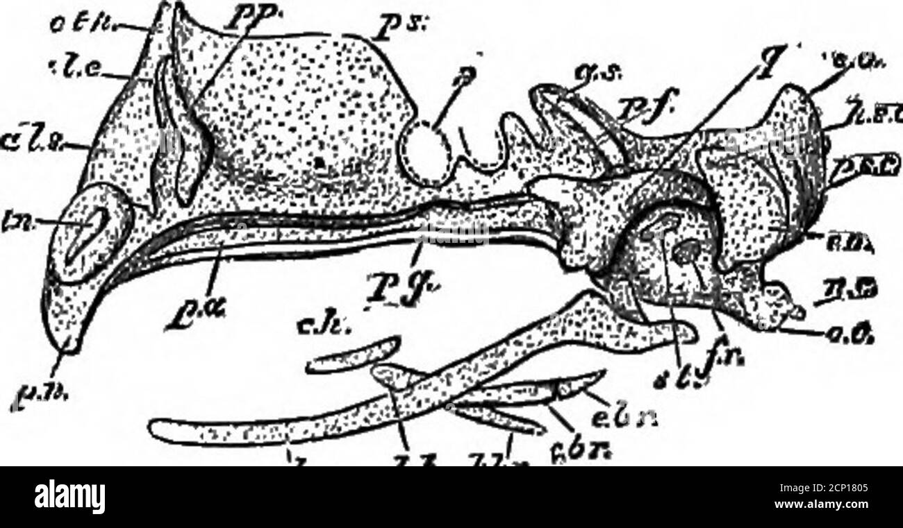 Quadrate field Cut Out Stock Images & Pictures - Alamy