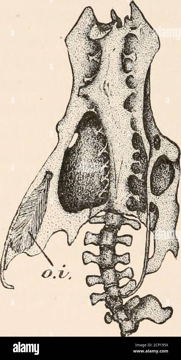 Abducte hi-res stock photography and images - Alamy