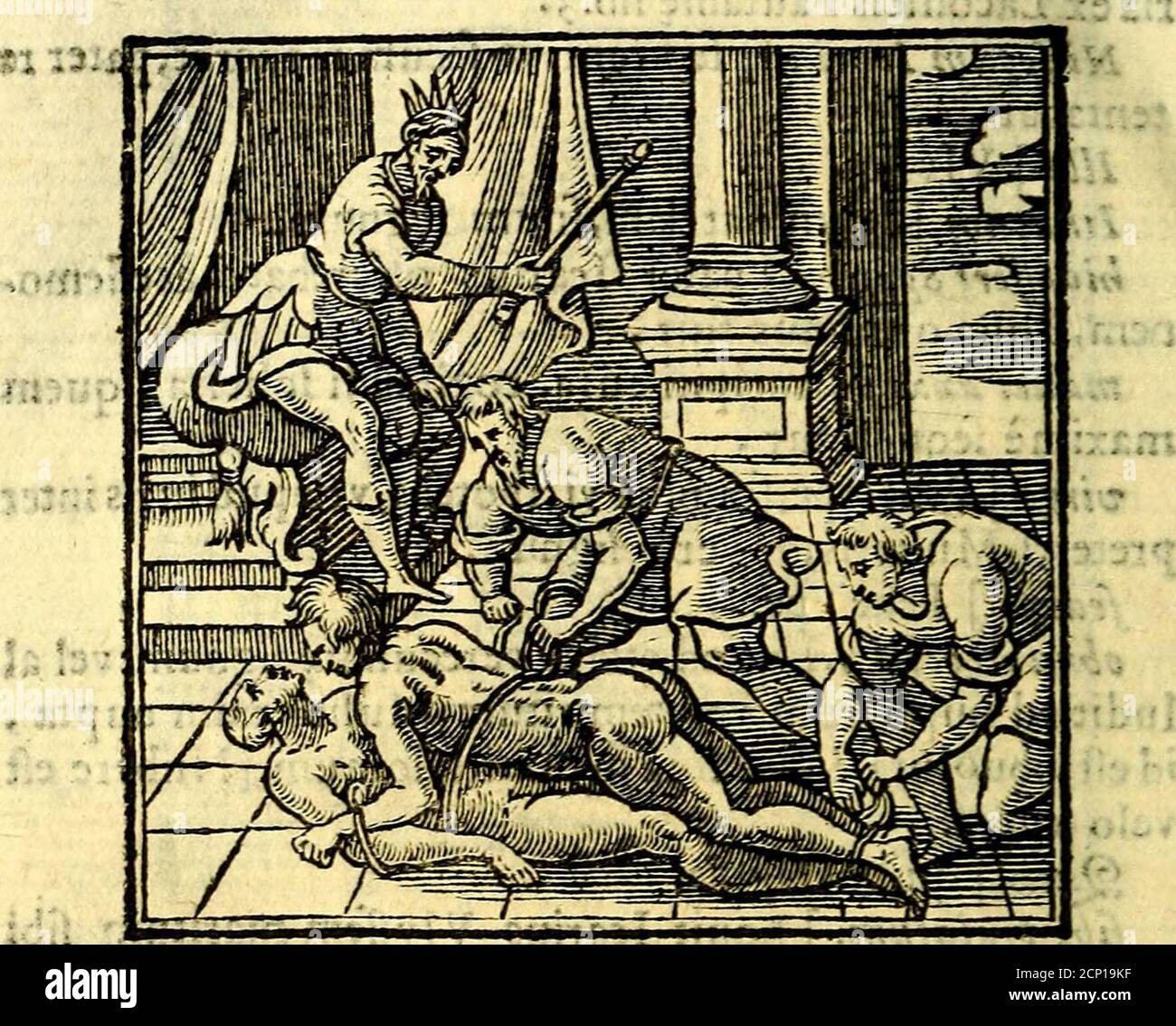 R gallica hi-res stock photography and images - Alamy