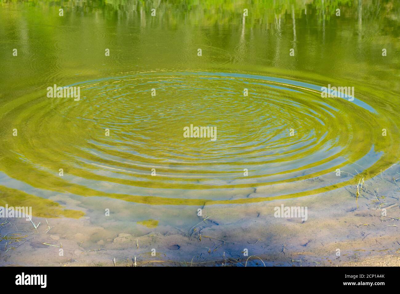Expansion waves in the water caused by throwing a stone. Motion concept ...