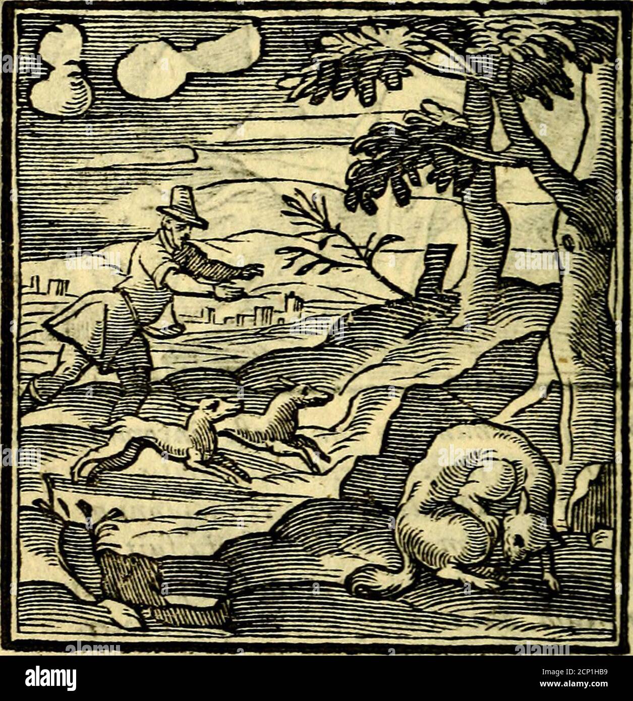 Ridan High Resolution Stock Photography and Images - Alamy