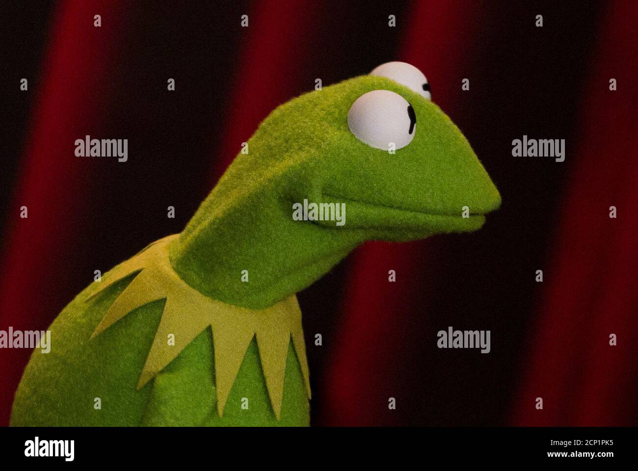 Muppet Character High Resolution Stock Photography and Images - Alamy