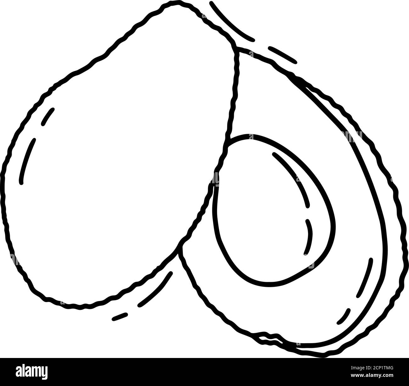 Avocado slice Vector hand drawn vector illustration. Tropical summer ...