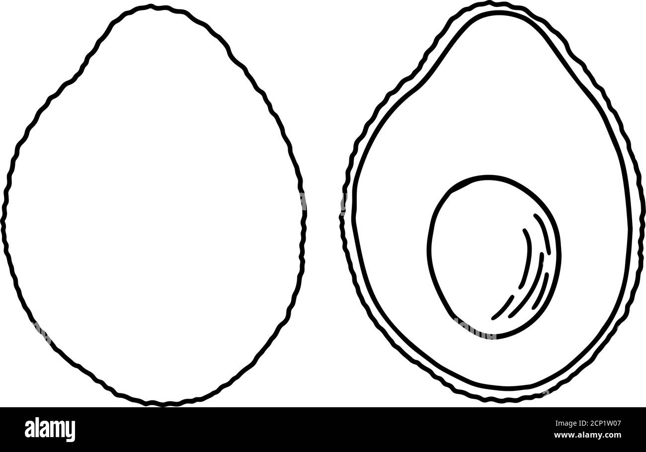 Avocado slice Vector hand drawn vector illustration. Tropical summer ...