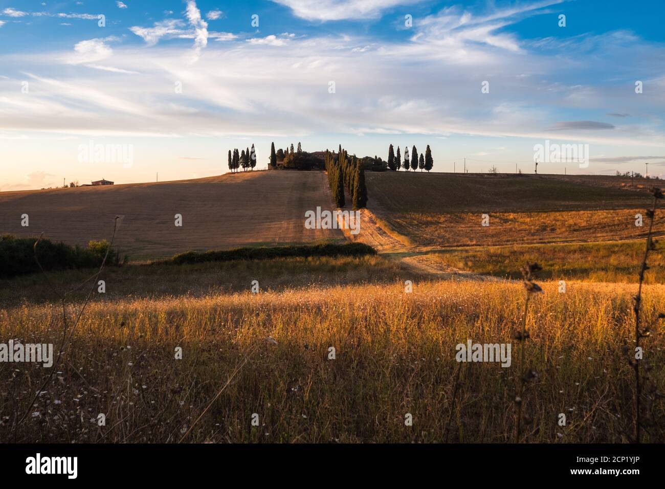 Gladiator movie russell crowe hi-res stock photography and images - Alamy