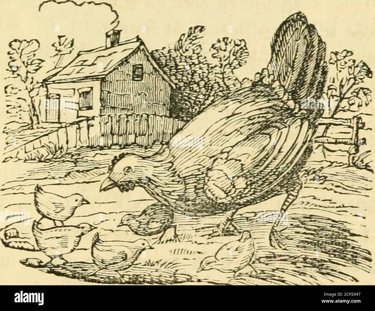 Bade judge hi-res stock photography and images - Alamy