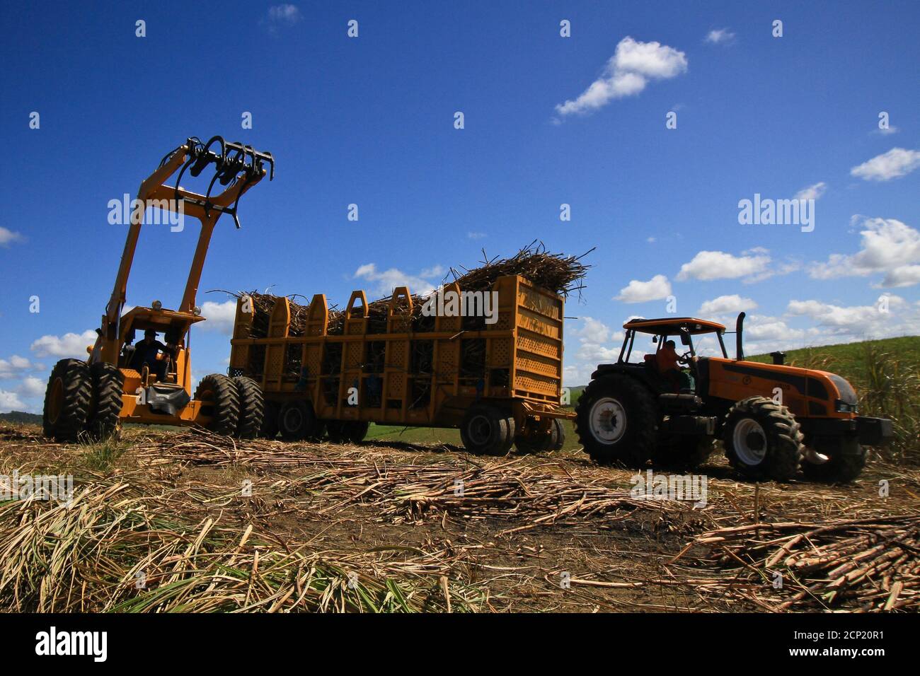 Recife, Brazil. 08th Sep, 2020. Rural work in Pernambuco, amid a ...