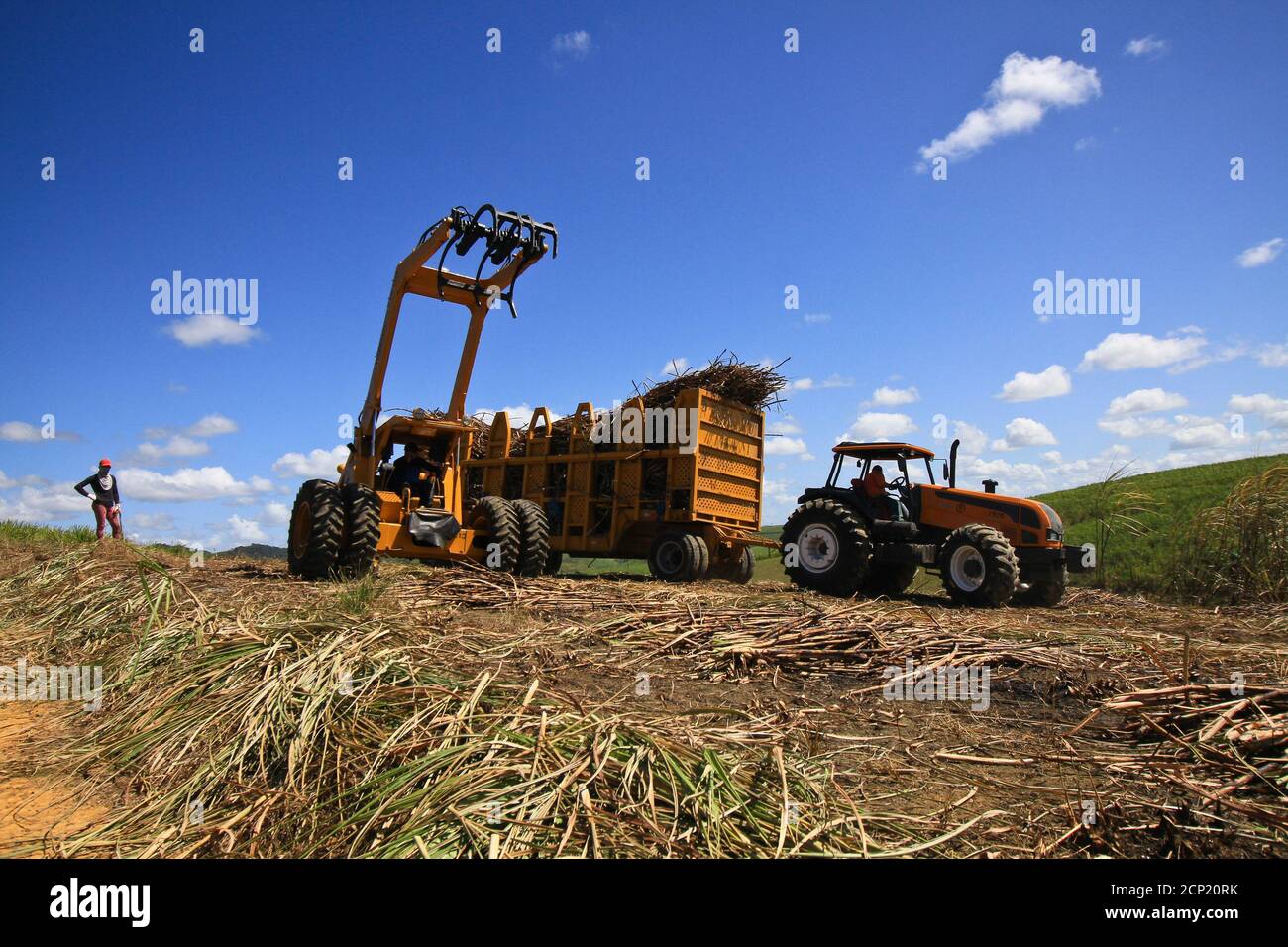Recife, Brazil. 08th Sep, 2020. Rural work in Pernambuco, amid a ...