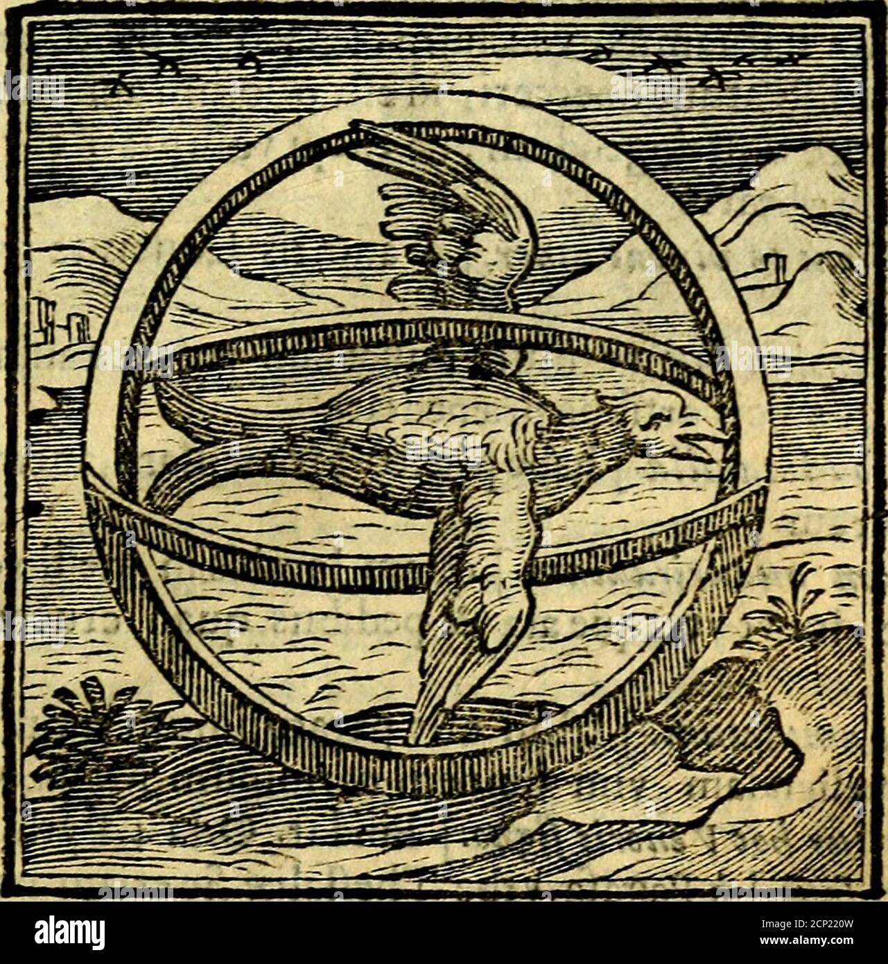 Aruo hi-res stock photography and images - Alamy