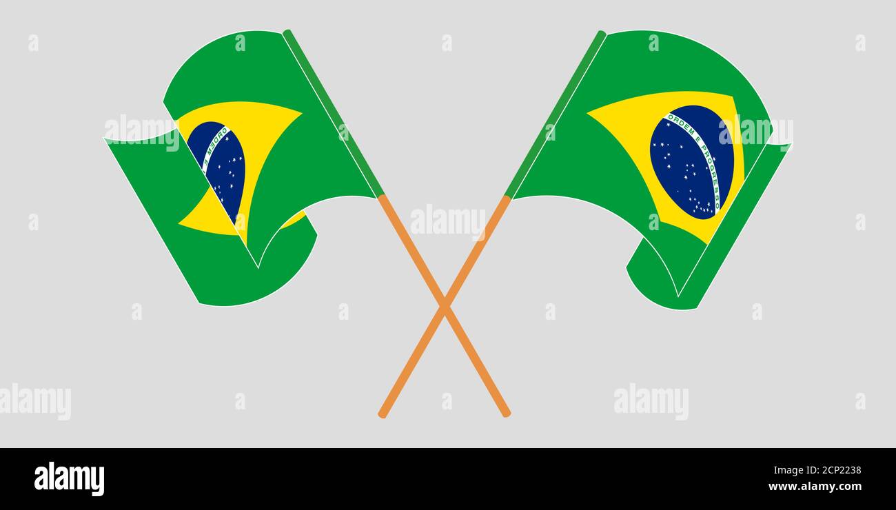Crossed and waving flags of Brazil. Vector illustration Stock Vector ...