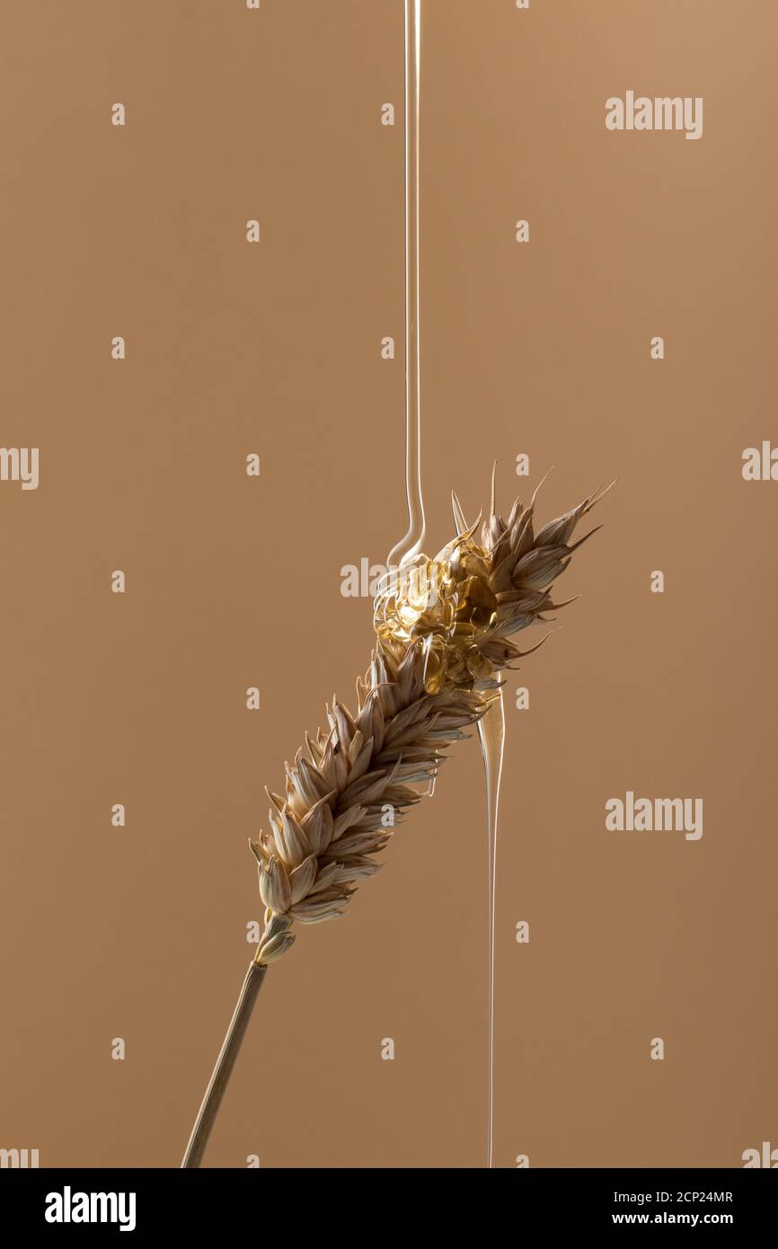 Beige Wheat High Resolution Stock Photography and Images - Alamy
