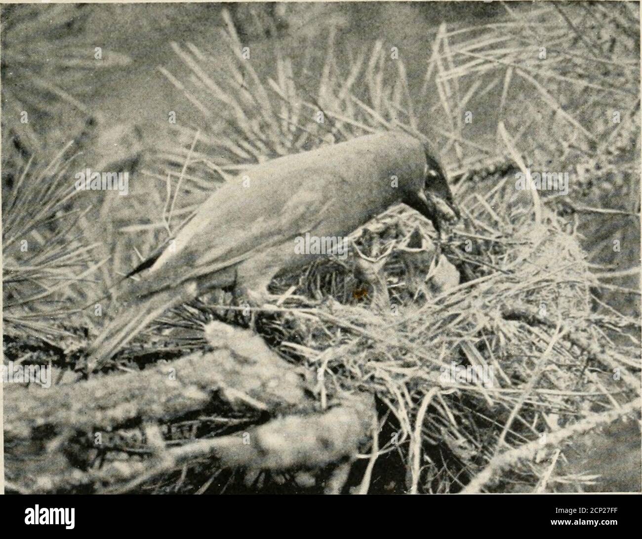 Boo hiss hi-res stock photography and images - Alamy