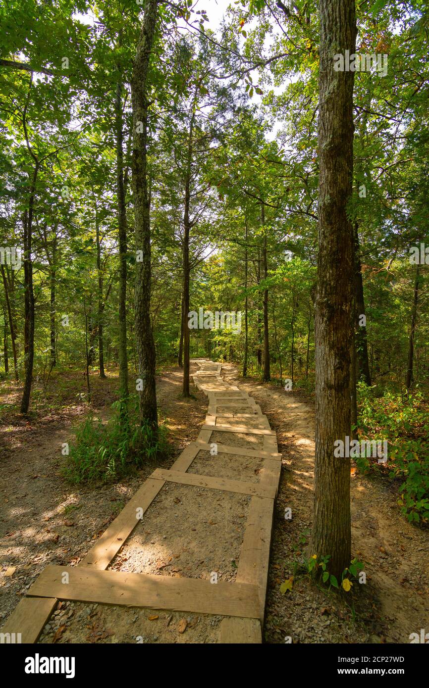 Hiking trail at Bell Smith Springs on a beautiful September morning ...