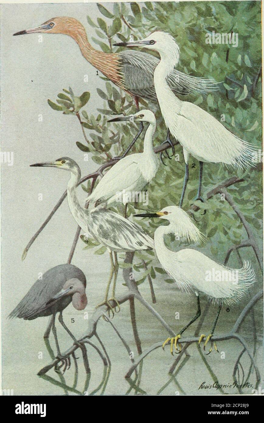 John fife symington hi-res stock photography and images - Alamy