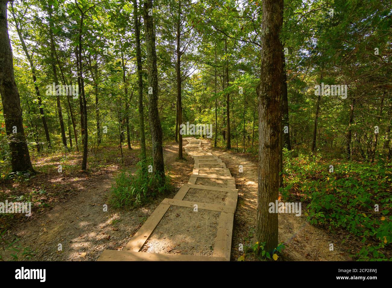 Hiking trail at Bell Smith Springs on a beautiful September morning ...