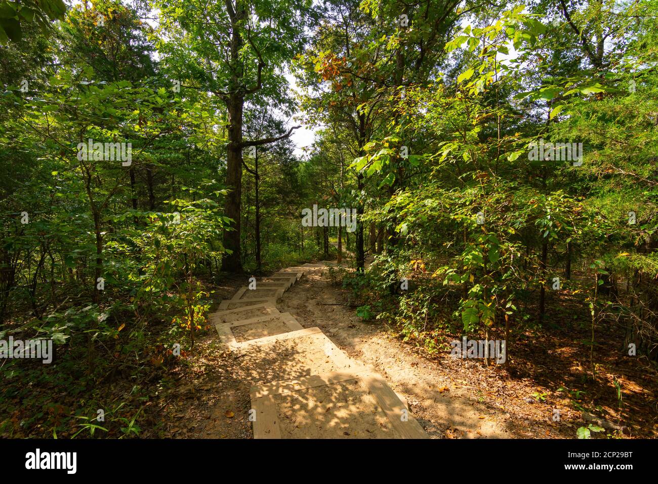 Hiking trail at Bell Smith Springs on a beautiful September morning ...