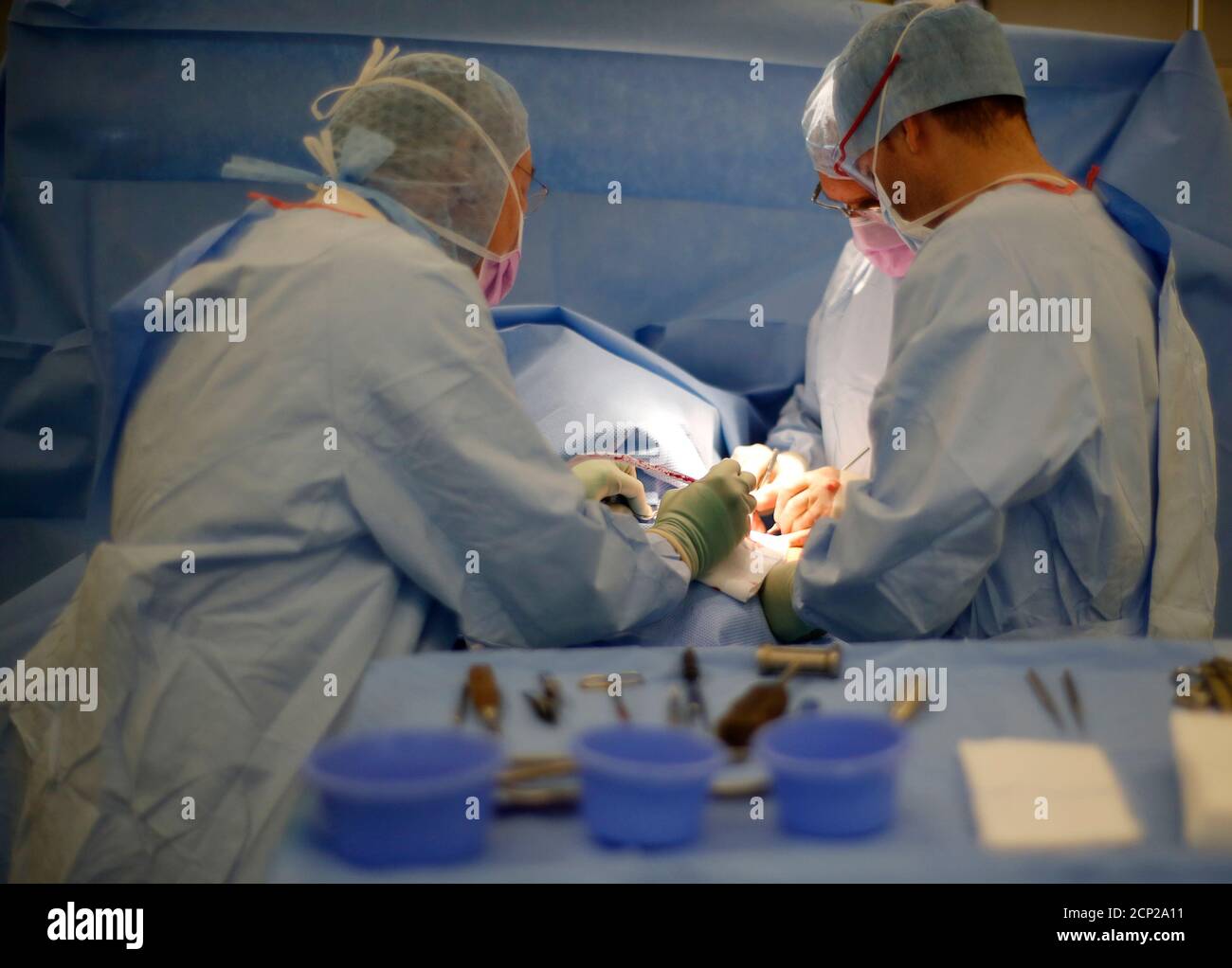 Collar Bone High Resolution Stock Photography and Images - Alamy