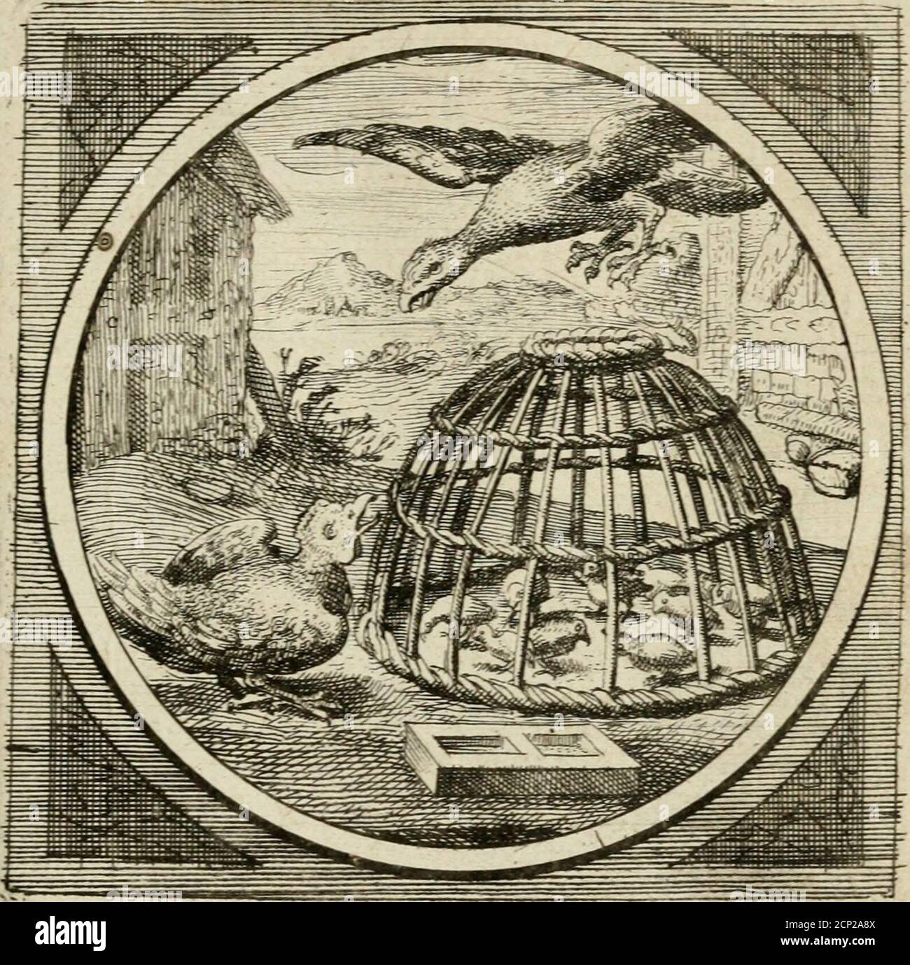 Combat en cage hi-res stock photography and images - Alamy