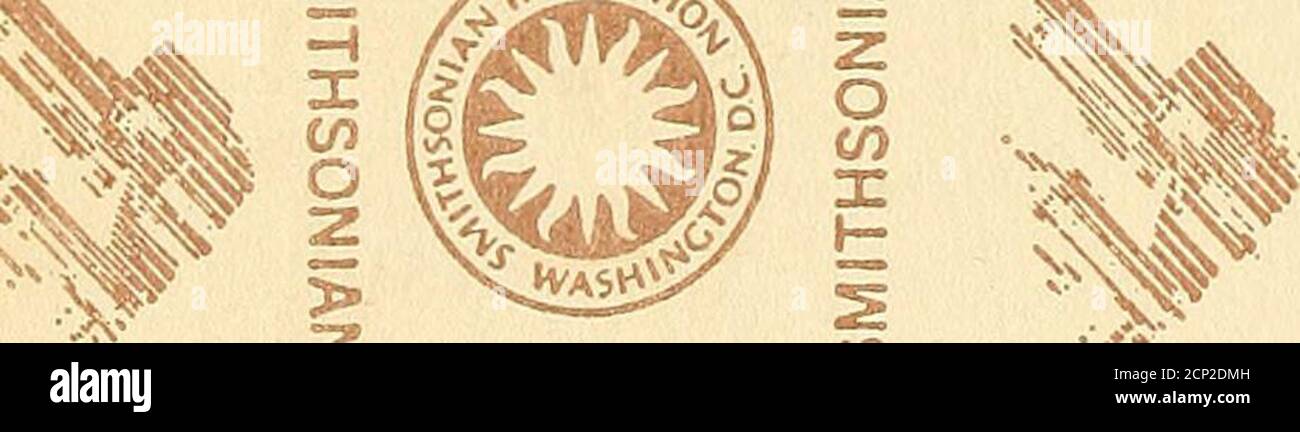 . The Oölogist for the student of birds, their nests and eggs Stock ...