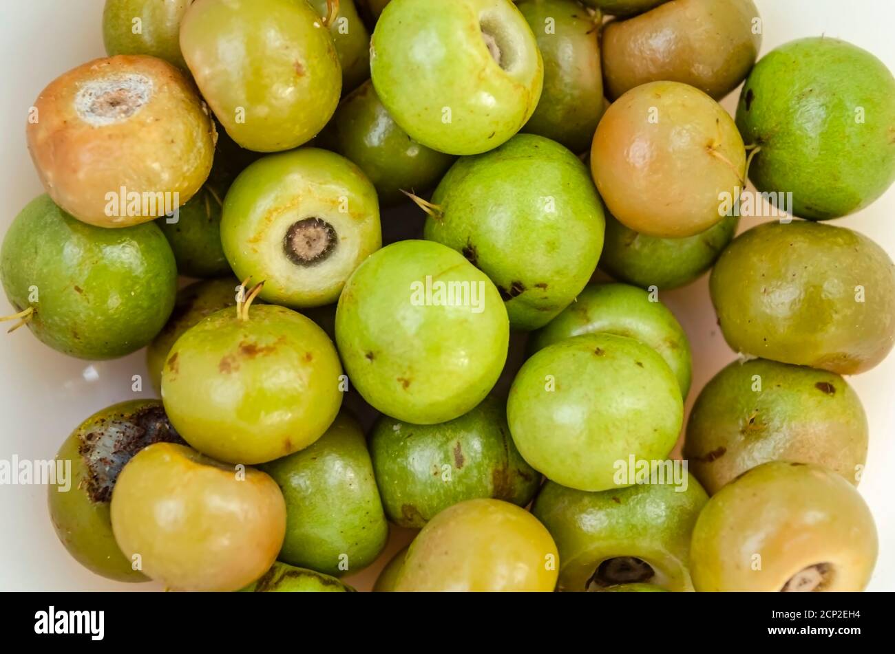 Cluster Of Hogberries Stock Photo - Alamy