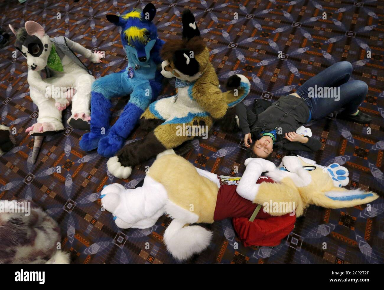 Furfest hi-res stock photography and images - Alamy