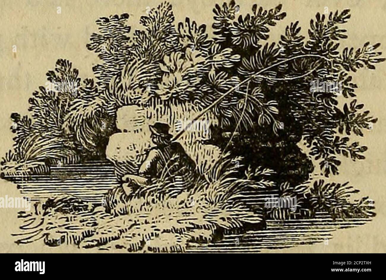 Birds of british rivers and ponds hi-res stock photography and images ...