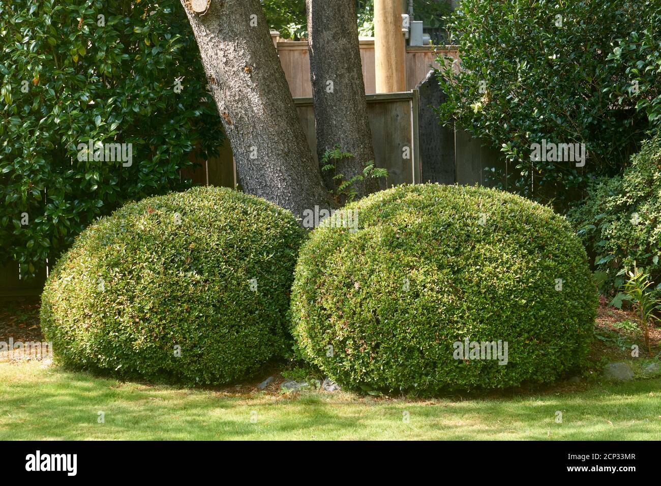 Topiary shapes hi-res stock photography and images - Alamy