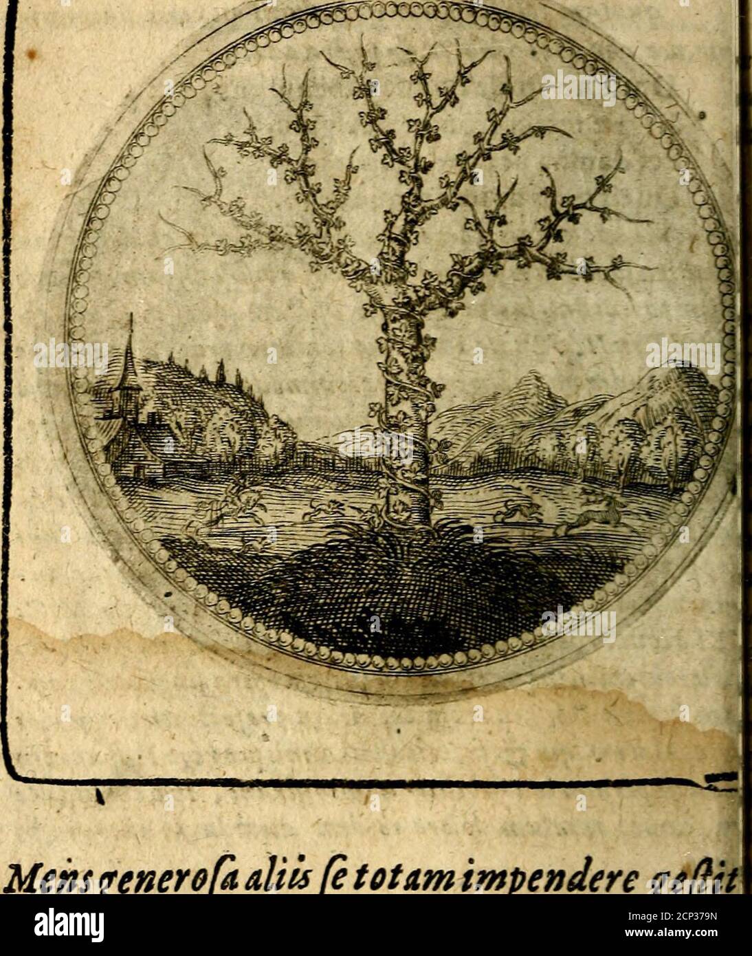 De romanis hi-res stock photography and images - Alamy