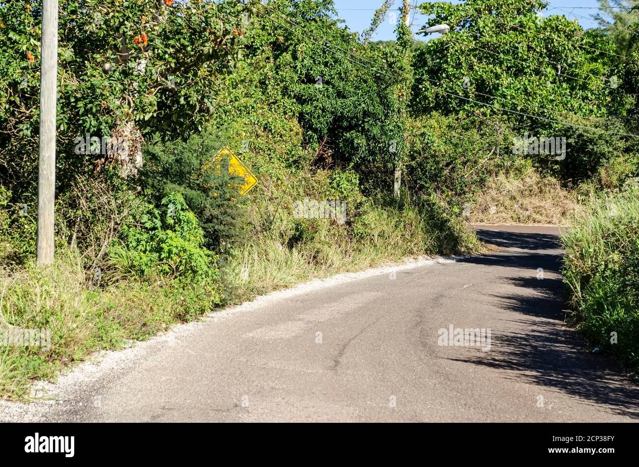 Hidden Street Sign Stock Photo - Alamy