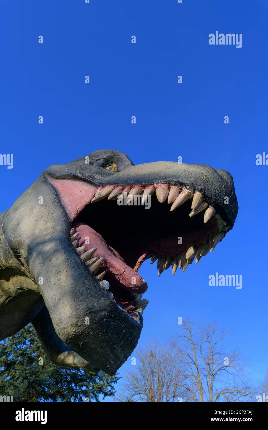 Saurian, dinosaur, tyrannosaurus rex, styrofoam, figure Stock Photo - Alamy